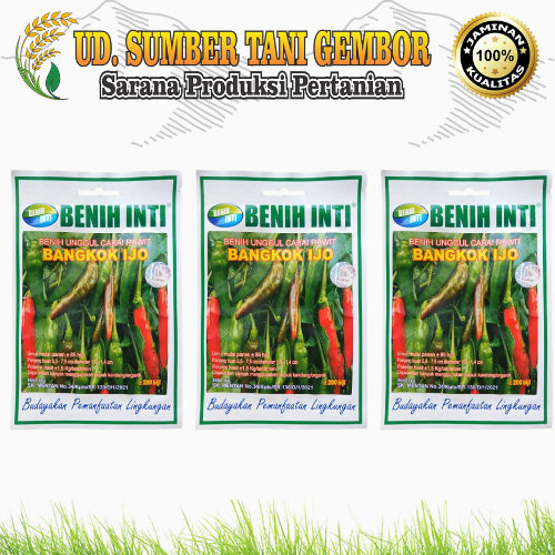 Jual BENIH CABAI RAWIT BANGKOK IJO BENIH INTI BENIH UNGGUL | Shopee ...