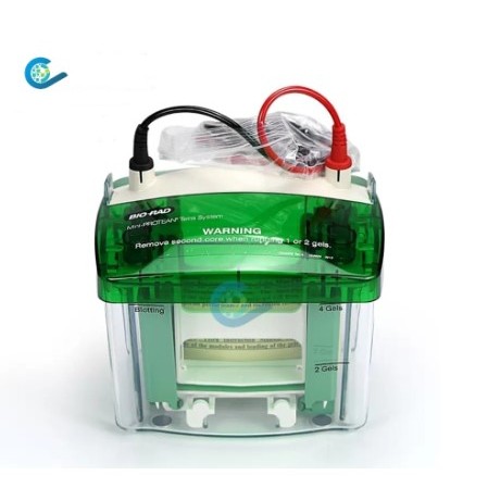 Jual Bio-Rad Mini-PROTEAN Tetra Cell#1658001 Vertical Western Blot Transfer System Tank | Shopee ...