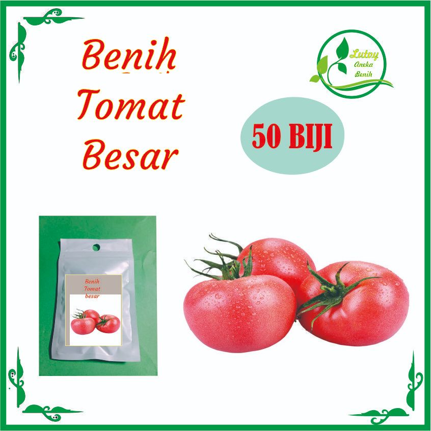 Jual BENIH TOMAT MERAH BESAR ISI 50 BIJI | Shopee Indonesia