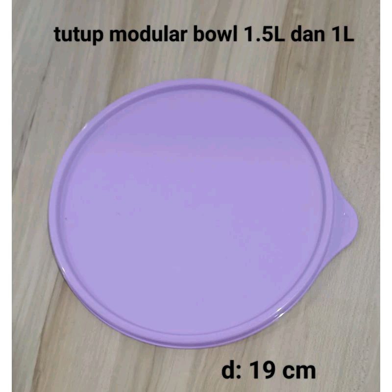 Jual ORIGINAL TUPPERWARE MACAM MACAM TUTUP /GIANT CANISTER MAGENTA ...