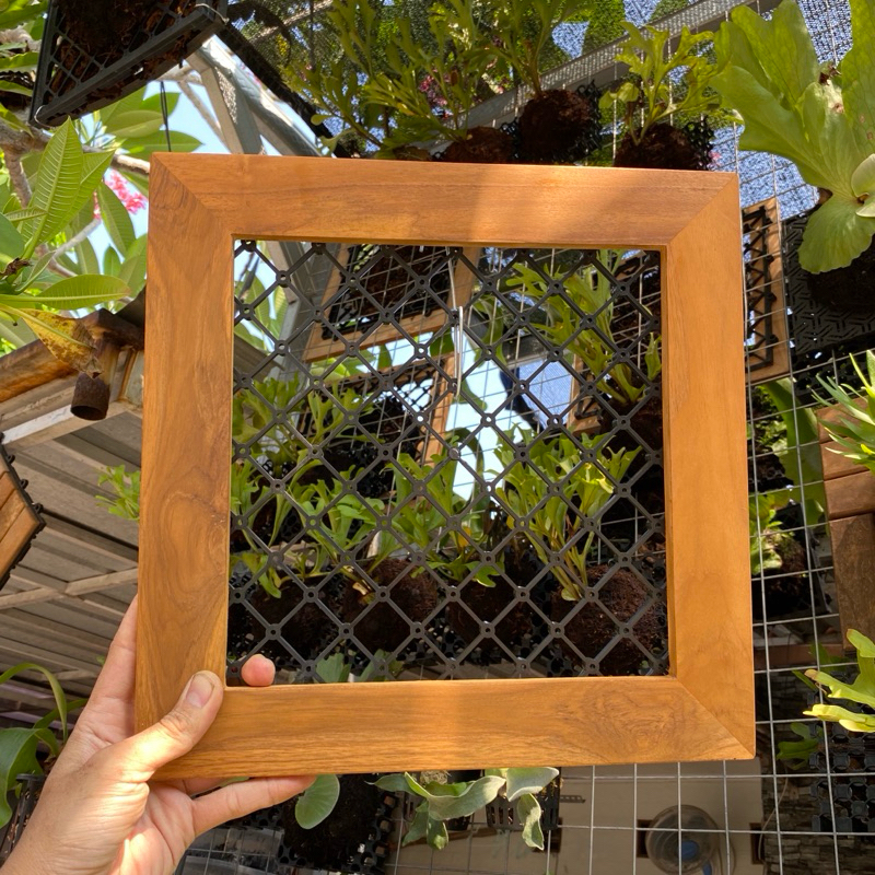 Jual FRAME KAYU JATI BINGKAI KAYU FRAME PLATYCERIUM 33x33 Cm | Shopee ...
