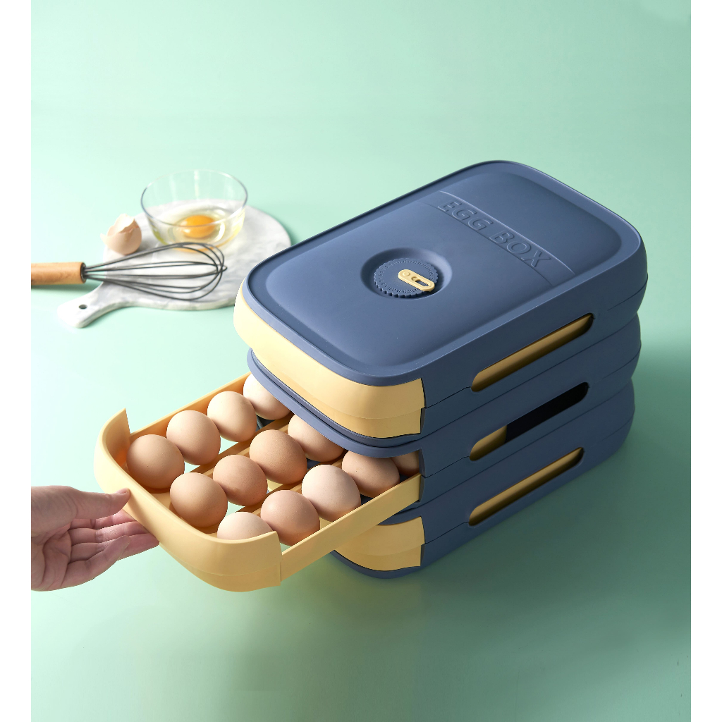 Jual PORTER Tempat Telur Kotak Penyimpanan Rak Telur - Egg Storage Box ...