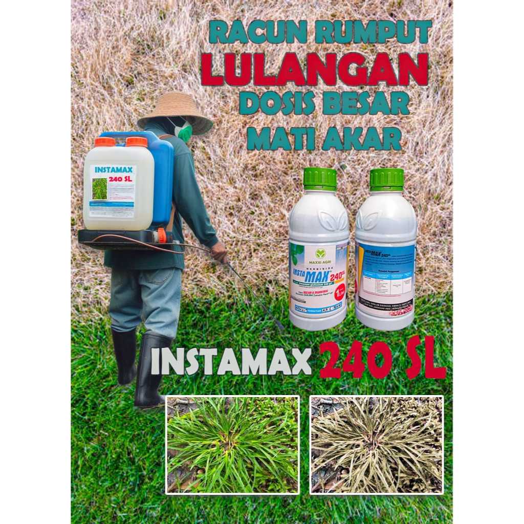 Jual INSTAMAX 240SL - Racun Rumput Lulangan mati sampai akar Kemasan 1 ...