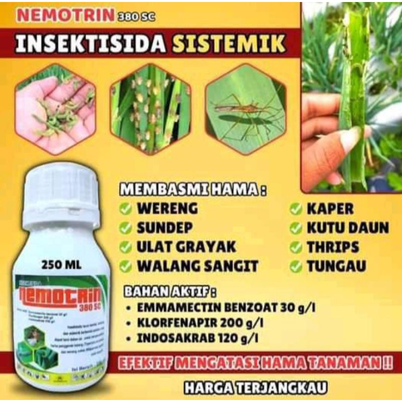 Jual INSEKTISIDA CAIR / INSEKTISIDA / INSEKTISIDA NEMOTRIN / NEMOTRIN ...