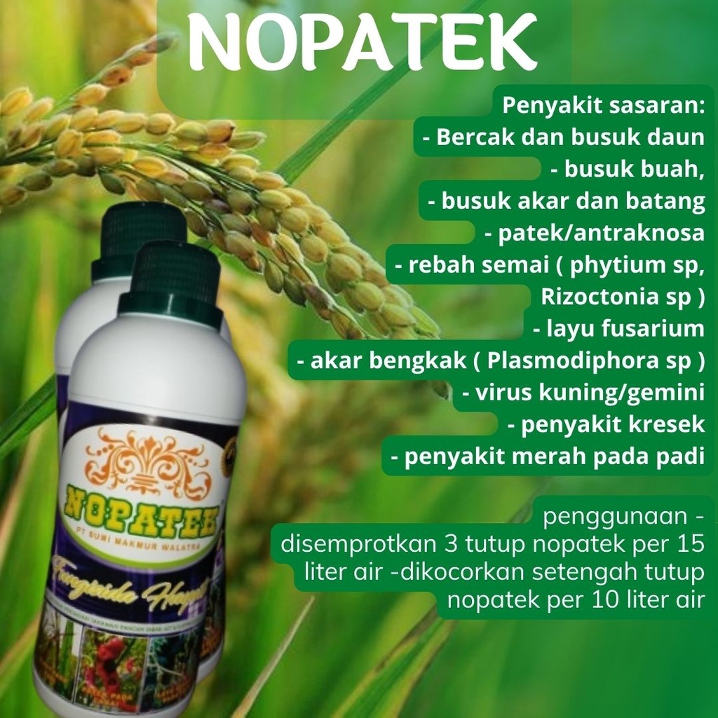 Jual FUNGISIDA NOPATEK pupuk daun kuning keriting cabai, pepaya, melon ...
