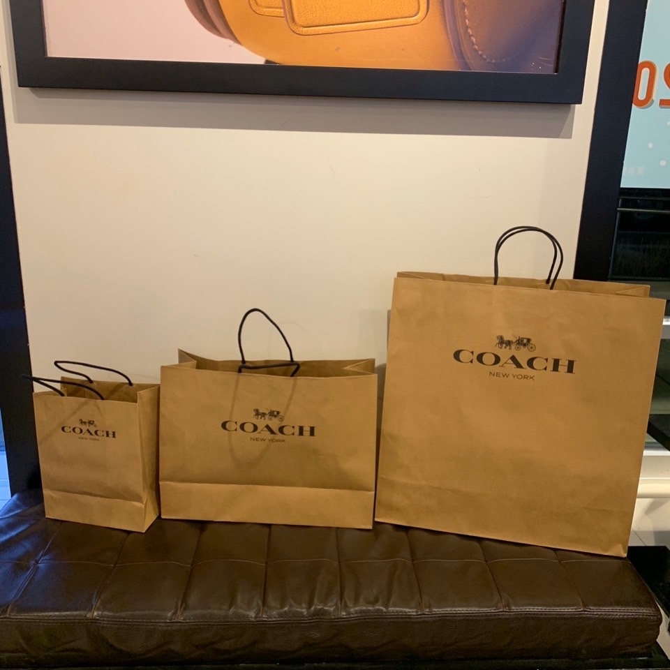 Jual COACH Mollie Bucket Bag 22 In Signature Canvas Coach Tas Bahu ...