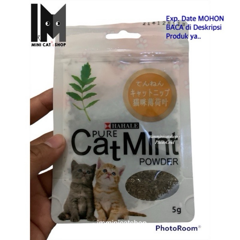 Jual CatMint Powder 5g - Catnip Cemilan Kucing | Shopee Indonesia