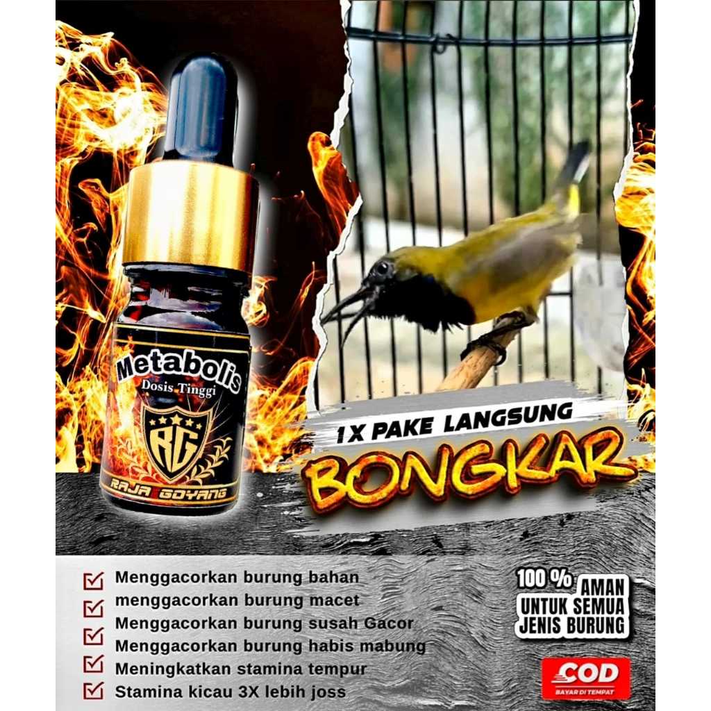 Jual Metabolis METABOLL Rajagoyang Original RG Vitamin Doping Herbal ...