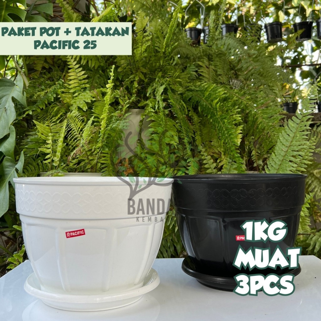 Jual Pot Pacific 25 Include Tatakan 22 Motif Romawi Kuno Untuk Ruangan ...