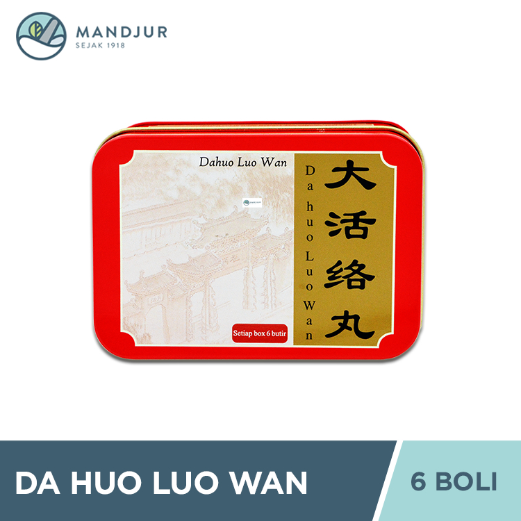 Jual Da Huo Luo Wan - Obat Herbal Stroke / Lumpuh | Shopee Indonesia