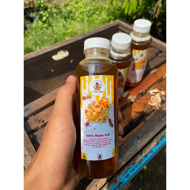 Jual Madu asli tanpa campuran 100% Murni kemasan ( 250ML ) | Shopee ...