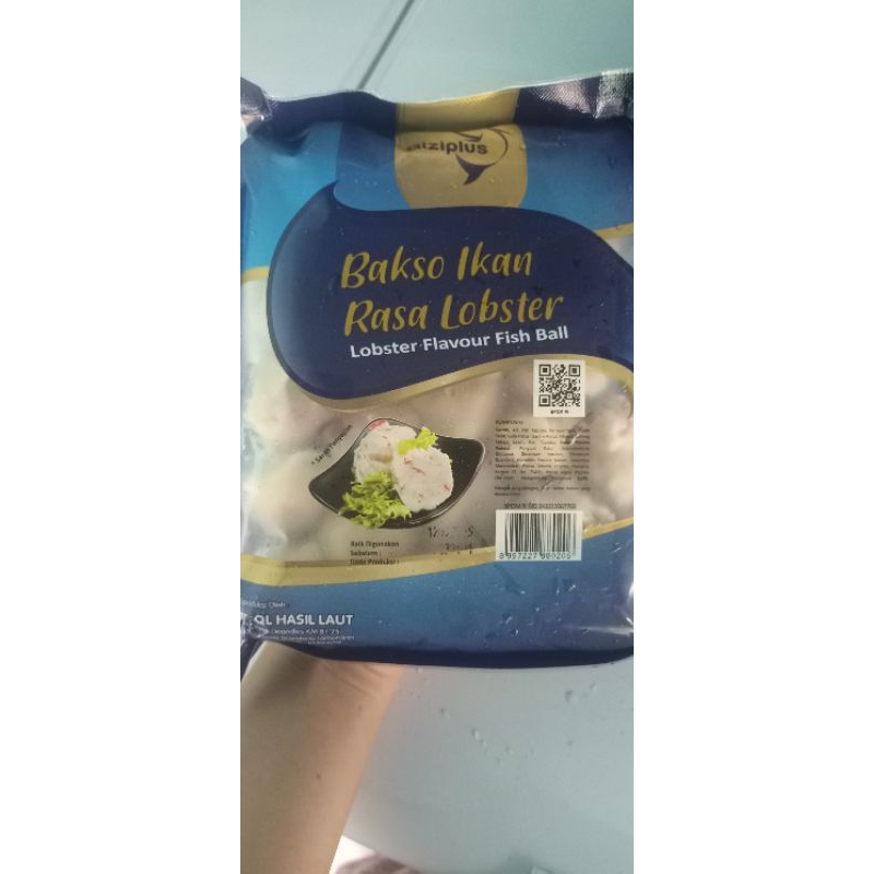 Jual Gizi plus bakso ikan rasa lobster 500gr | Shopee Indonesia