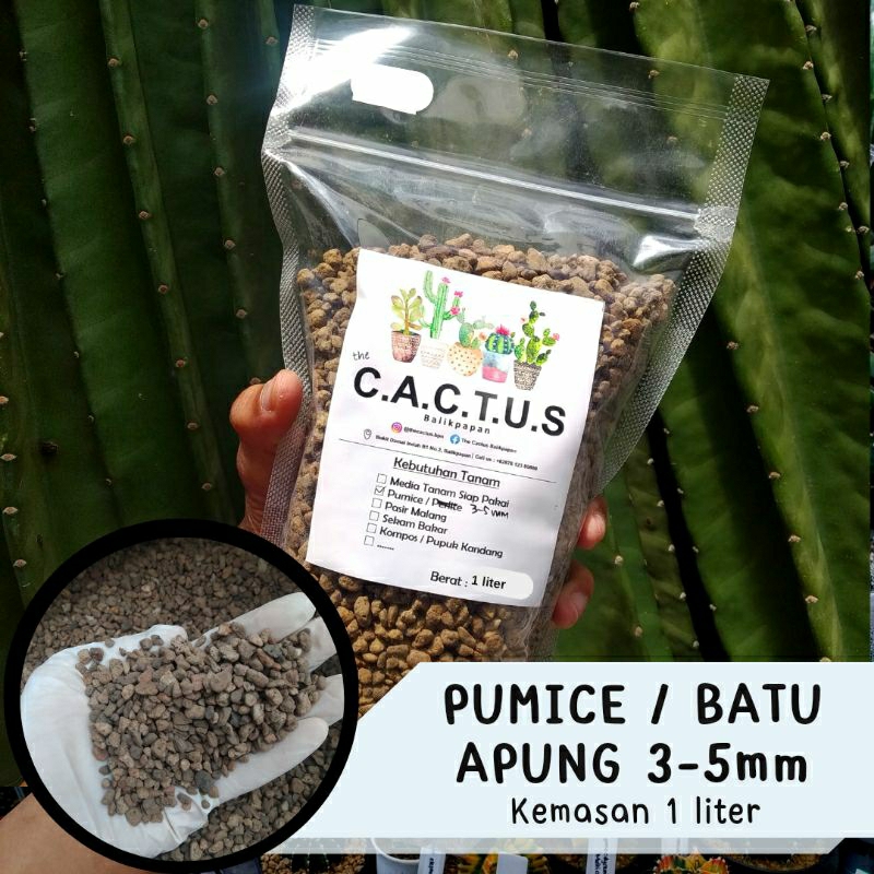 Jual Pumice / Batu Apung Ukuran 3-5 mm Media Tanam Kaktus Sukulen ...