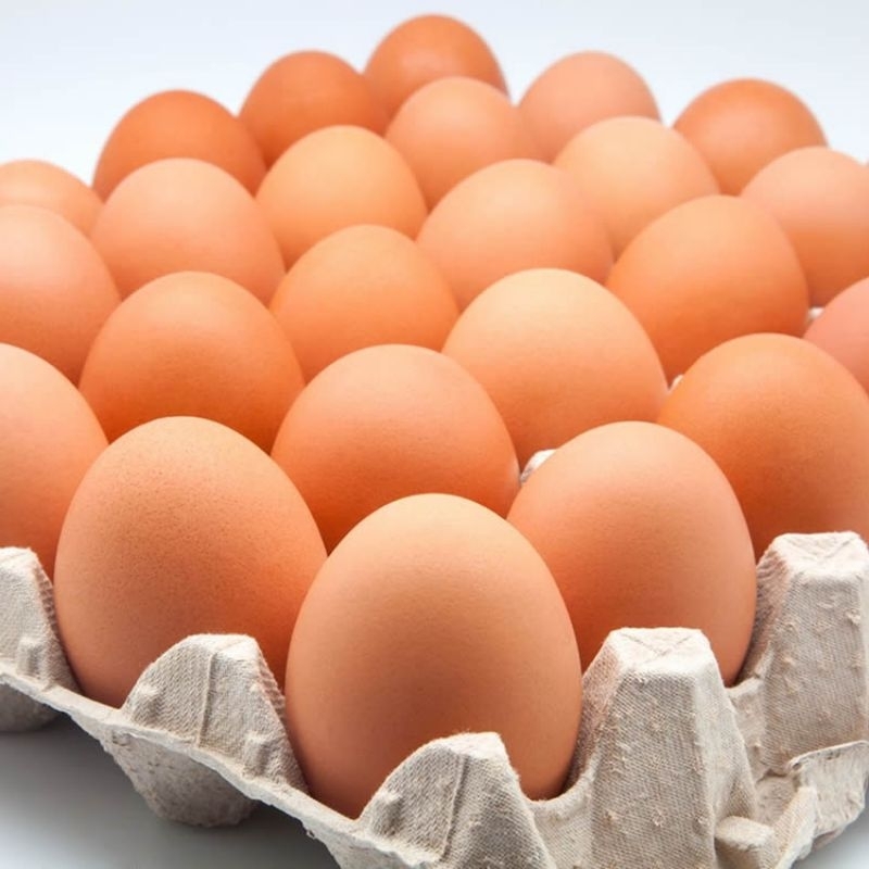 Jual TELUR AYAM BESAR | Shopee Indonesia