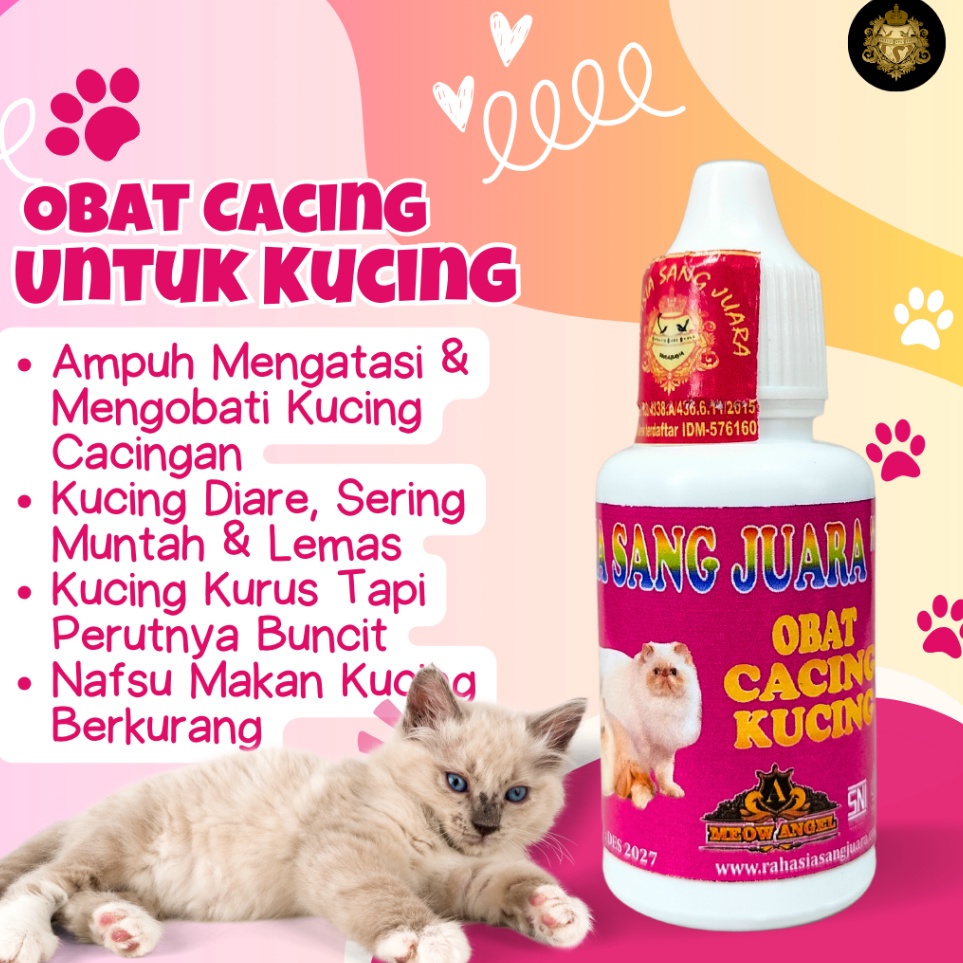 Jual OBAT CACING KUCING KITTEN DAN DEWASA AMPUH MEMBASMI CACING DENGAN ...