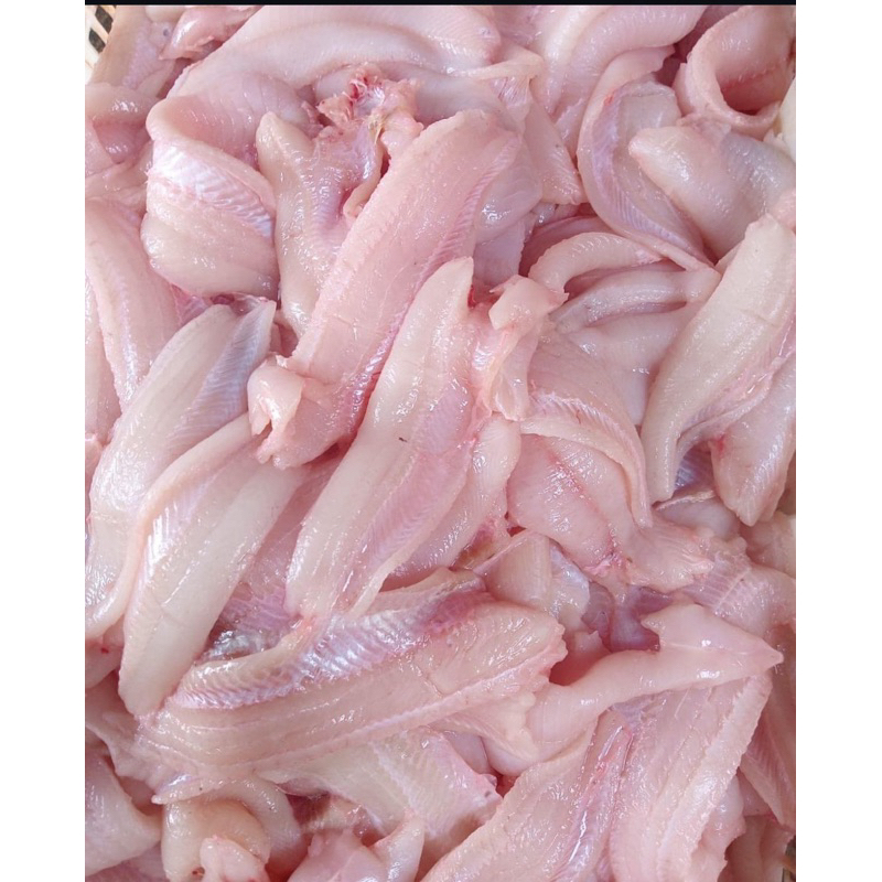 Jual ikan gabus fillet 1 kg | Shopee Indonesia