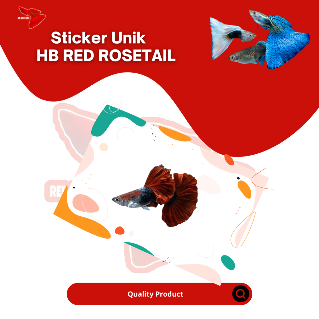 Jual STICKER UNIK HB RED ROSETAIL CAULI REMAJA | Shopee Indonesia