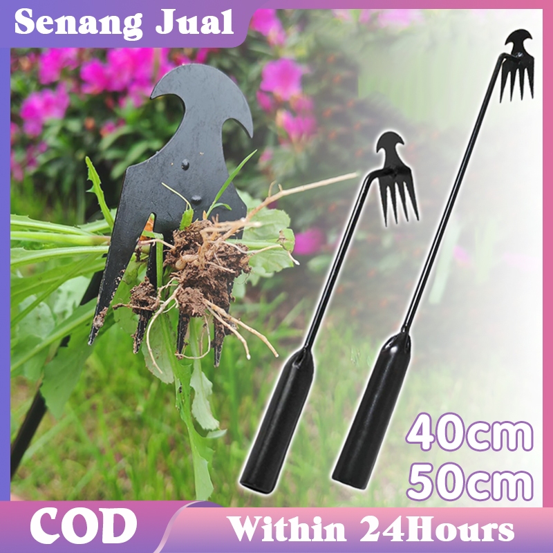 Jual Alat Pencabut Rumput Di Halaman Rumah Alat Pencabut Rumput Di ...
