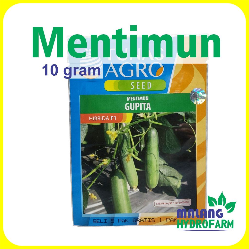Jual Benih Mentimun Gupita F1 10 gram Tunas Agro bibit biji ketimun ...