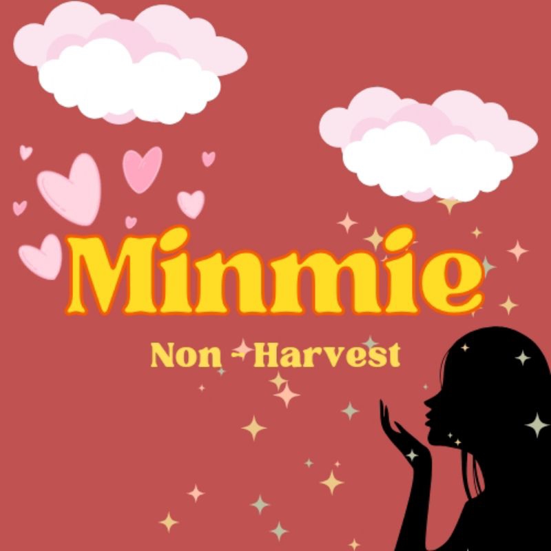 Jual MinMie Kertas Binder - Non Harvest ( Wajib Cek Deskripsi) | Shopee ...