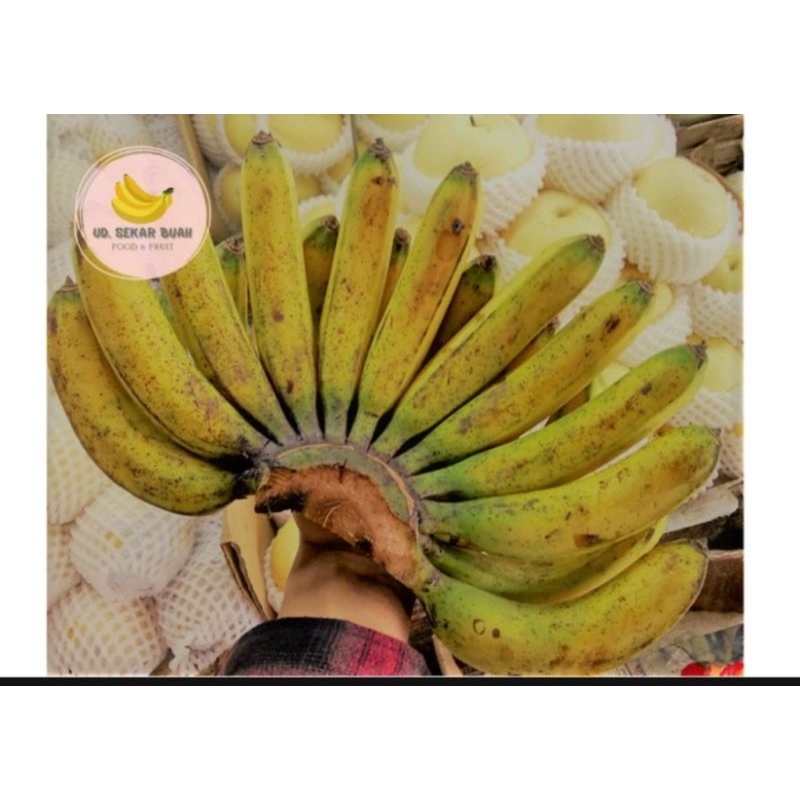 Jual [KIRIM INSTAN] PISANG BARANGAN MEDAN (1 SISIR) | Shopee Indonesia
