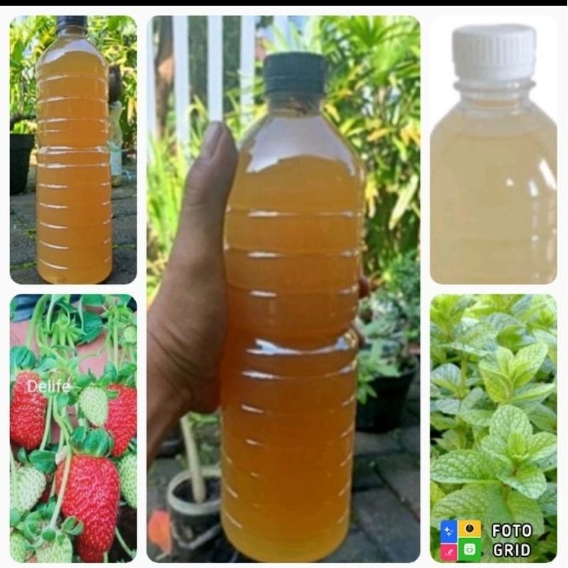 Jual Pupuk organik cair Air Jakaba Murni 1000ml | Shopee Indonesia