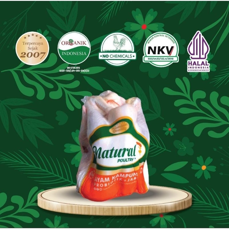 Jual AYAM KAMPUNG 900-1000GR - AYAM PROBIOTIC - ORGANIK - NATURAL ...