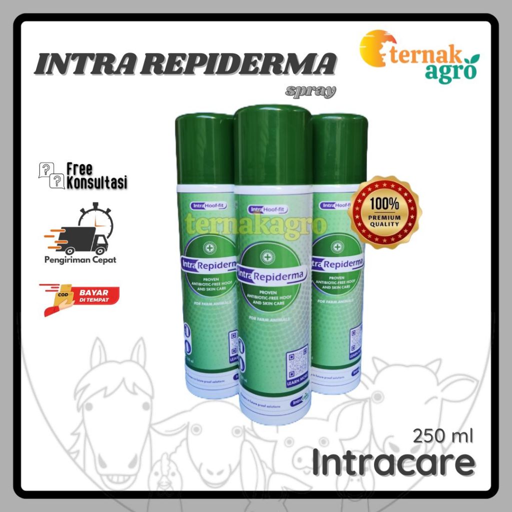 Jual Intra Repiderma - spray (1 botol 250 ml) | Shopee Indonesia