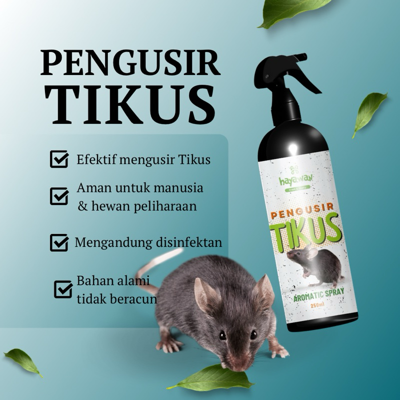 Jual SPRAY PENGUSIR TIKUS | PEMBASMI TIKUS | OBAT PENGUSIR TIKUS RUMAH ...