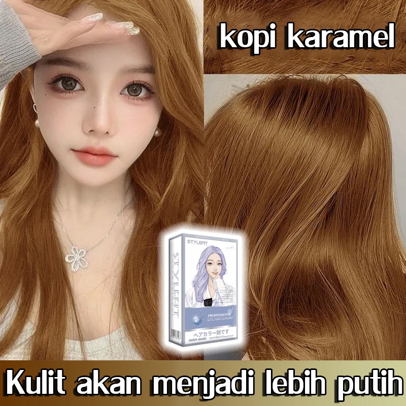 Jual [Beli 100ml gratis 100ml]hair colour pewarna rambut 230ml Tidak ...