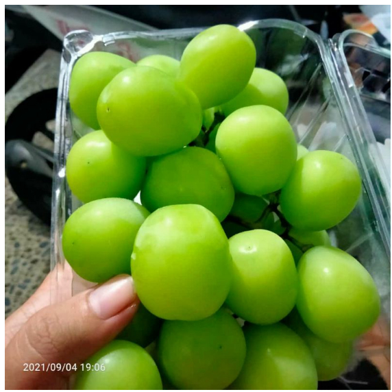 Jual Anggur Shine Muscat Sultan Anggur Enak Banget Anggur Ijo Tanpa ...