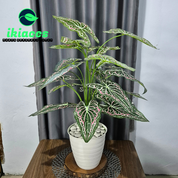 Jual DAUN CALADIUM ARTIFISIAL JUMBO DAUN KELADI PLASTIK BUNGA HIAS ...