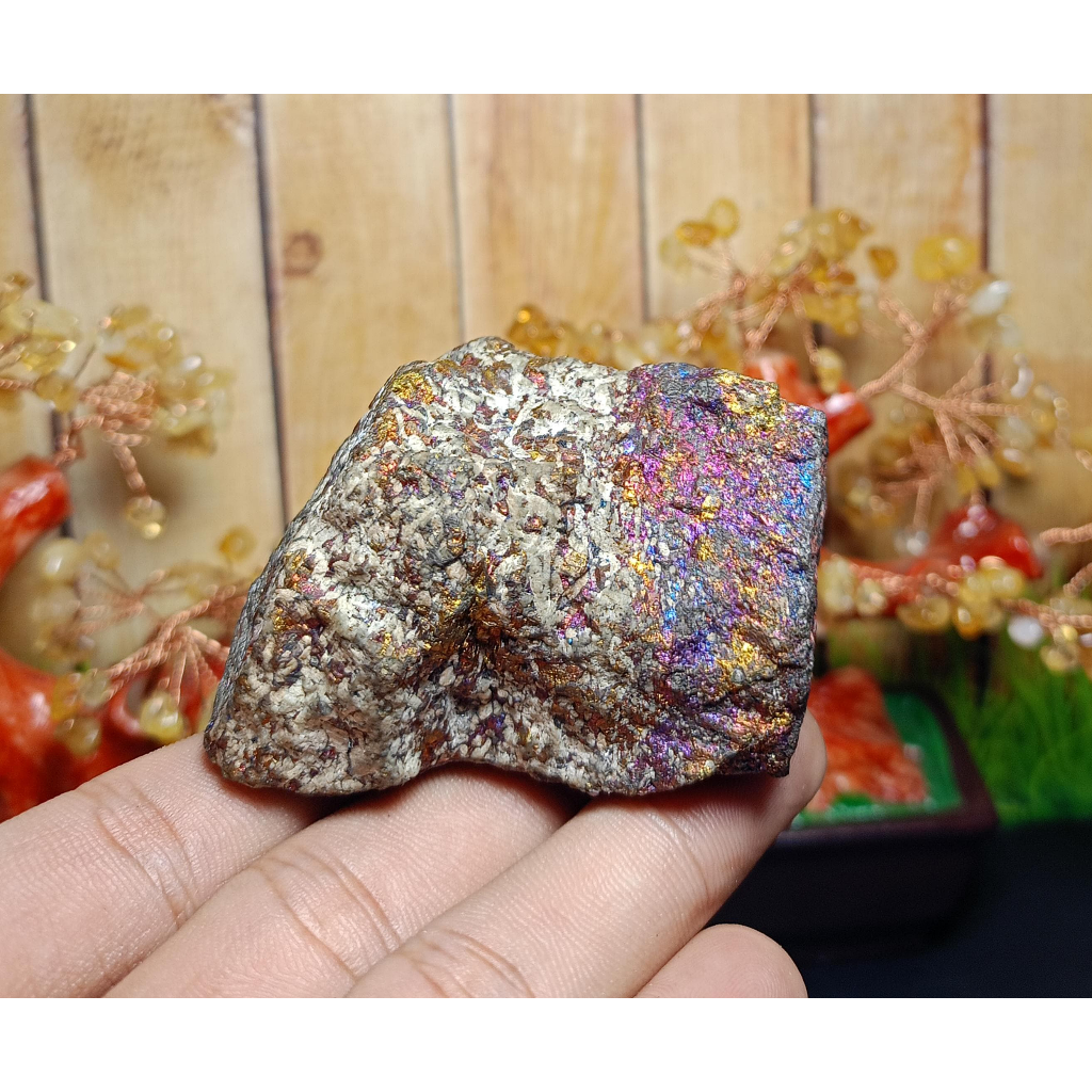 Jual Rough Natural Rainbow Pyrite Chalcopyrite Peacock Ore (16 ...