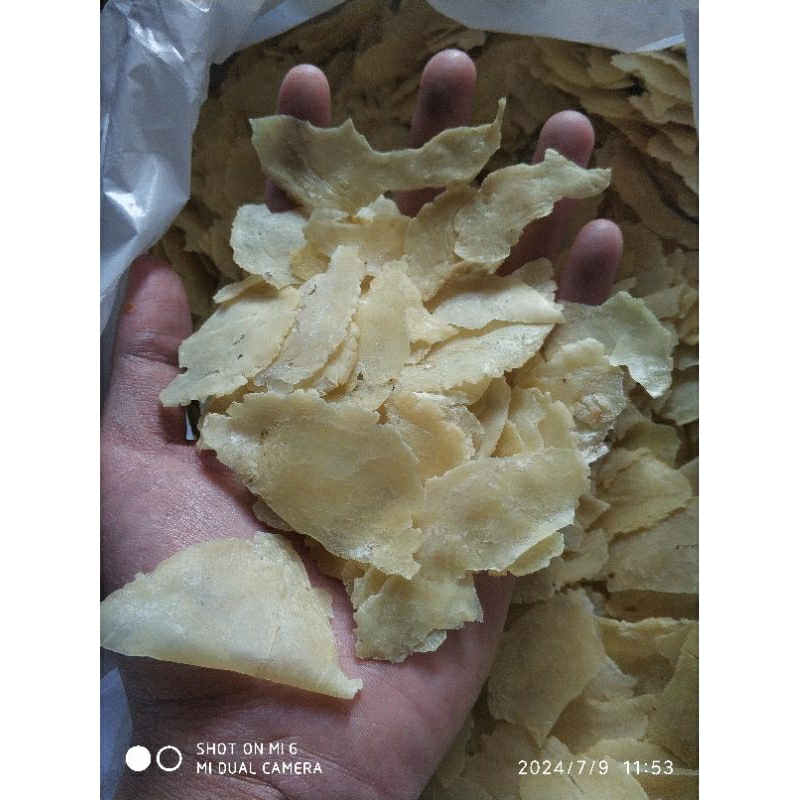 Jual EMPING PECAHAN KUALITAS NO.1 || EMPING MELINJO ASLI LIMPUNG ...