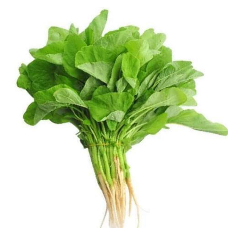 Jual bayam segar(1 ikat) | Shopee Indonesia