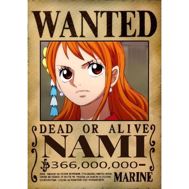 Jual koleksi poster nami 10r one piece laminating pres | Shopee Indonesia