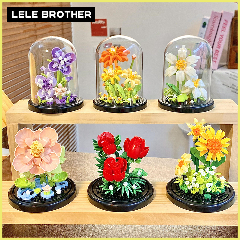 Jual LELE Mainan DIY Plant Kotak Tampilan Untuk Bunga Kreatif Untuk ...