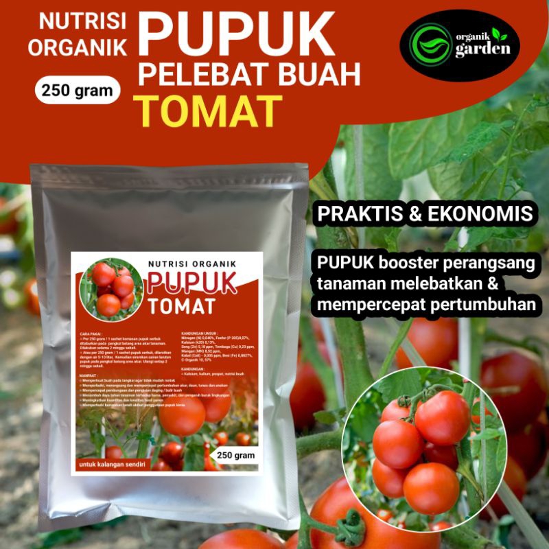 Jual pupuk pelebat buah TOMAT | booster melebatkan secara maksimal 250gram | Shopee Indonesia