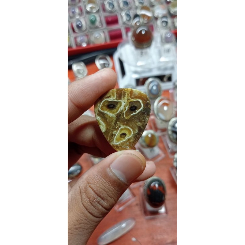 Jual jual batu posil kayu | Shopee Indonesia