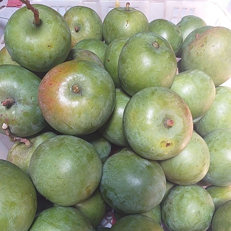 Jual mangga apel fresh 500 gram/mangga rujak | Shopee Indonesia