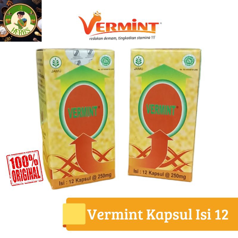 Jual Vermint Obat Tipes 12 Kapsul | Shopee Indonesia