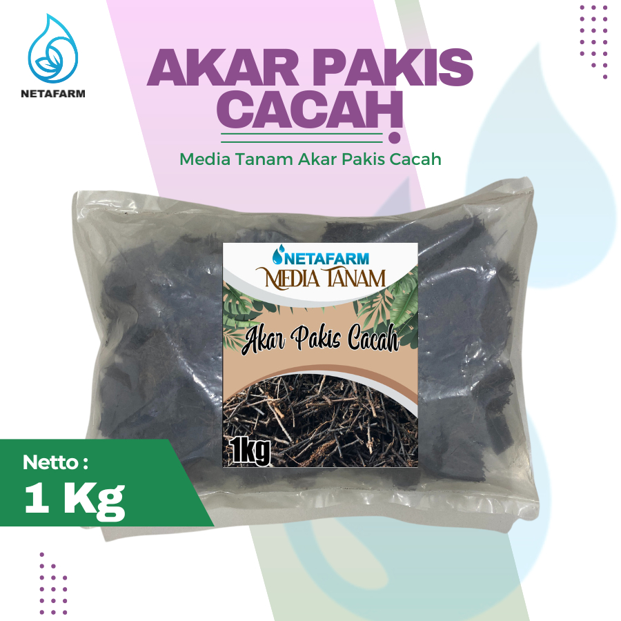 Jual Media Tanam Akar Pakis Cacah - kemasan 1 kg | Shopee Indonesia
