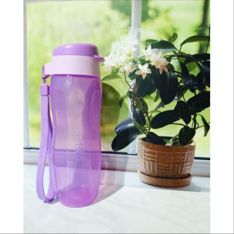 Jual Botol Minum Fashion Eco Friendly Tupperware 500ml | Shopee Indonesia