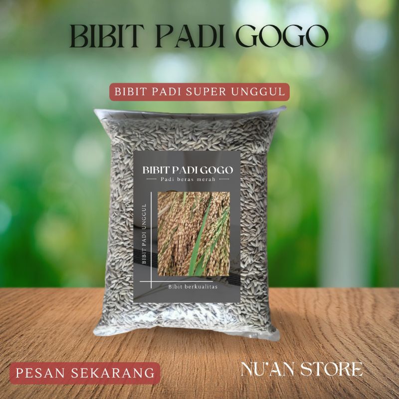 Jual BIBIT PADI BERAS MERAH LAHAN KERING/PADI GOGO 1KG | Shopee Indonesia