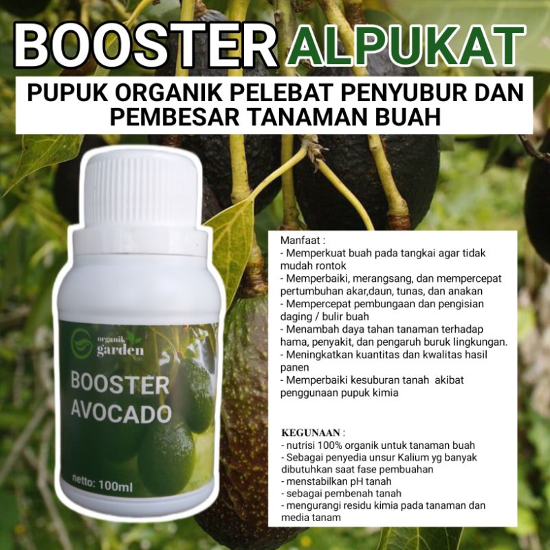 Jual AVOCADO | booster cair nutrisi vitamin buah ALPUKAT/AVOCADO 100ml ...