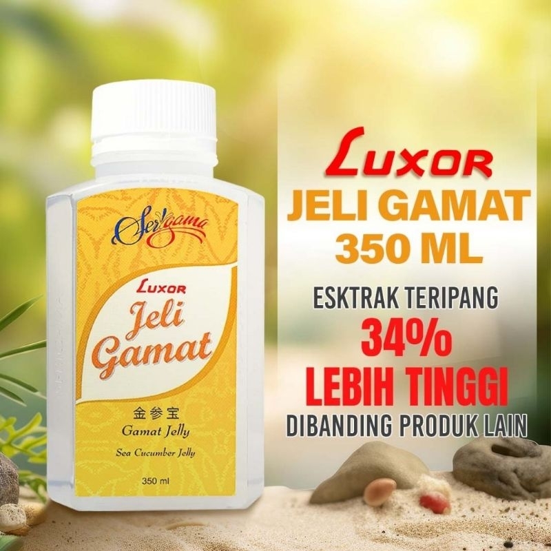 Jual Jelly Gamat Luxor Jaminan 100% Original Isi 350ml Ekstrak Gamat (Teripang, Sea Cucumber ...