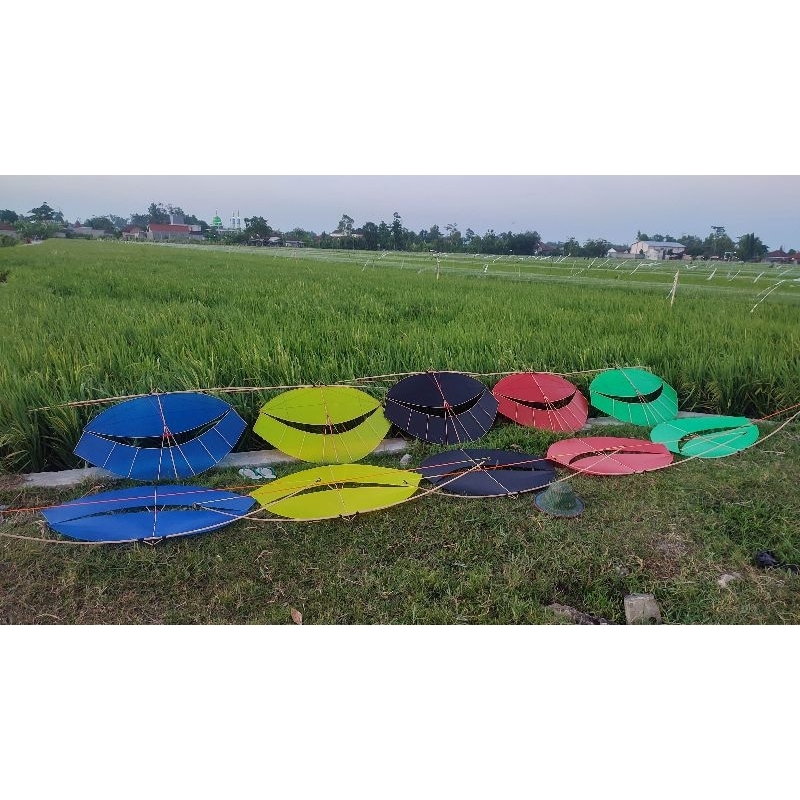 Jual Layangan Pegon Ceper sayap 1,2 meter nano sendaren 2 meter ...
