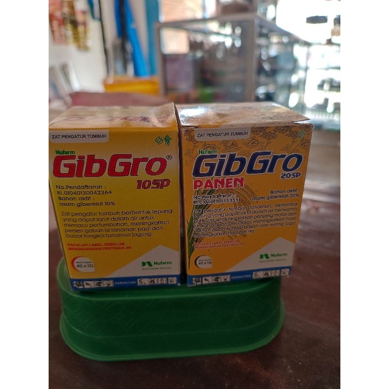 Jual GIBRO (Asam Gibraltar) PANEN (20 sp) DAN PERTUMBUHAN (10 sp ...
