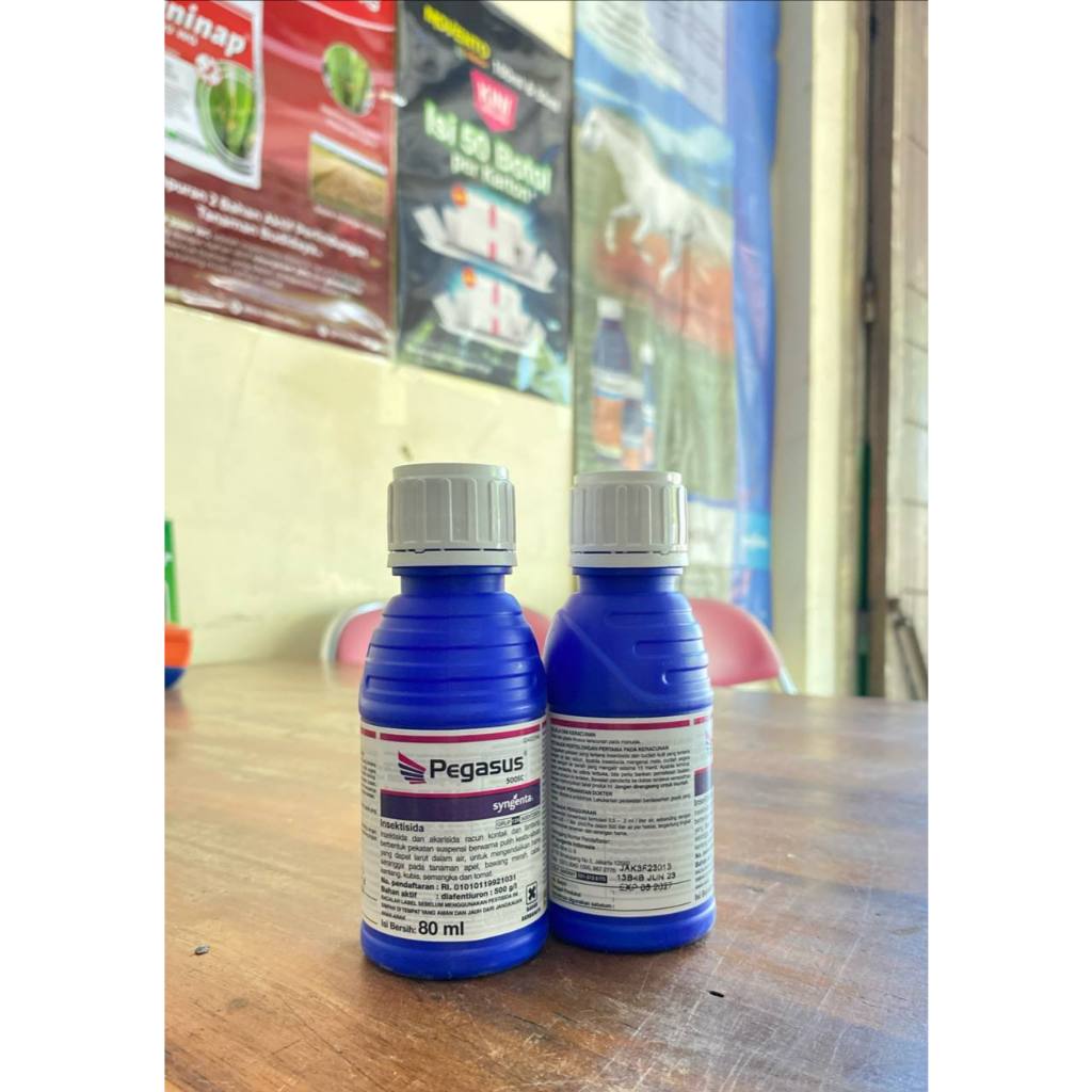 Jual Insektisida PEGASUS 500SC 80ml dr syngenta | Shopee Indonesia