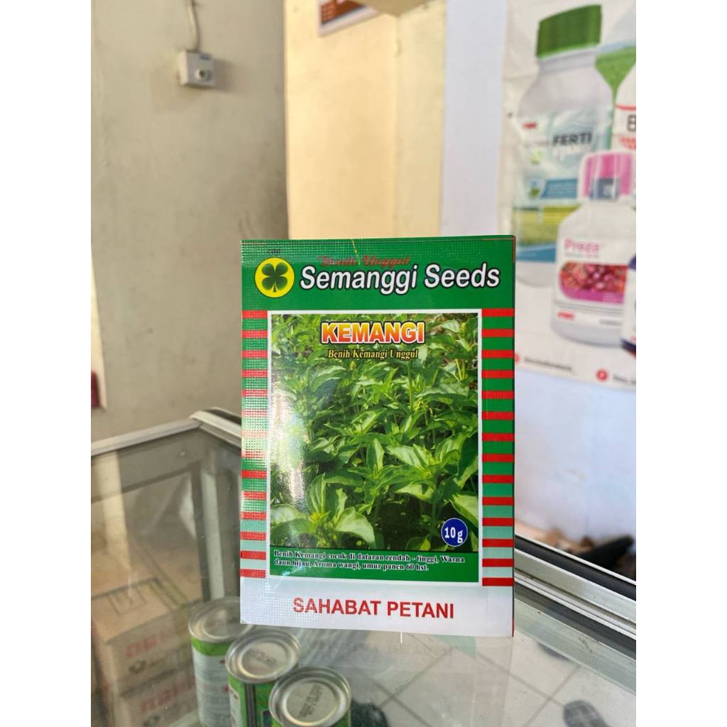 Jual BIBIT BENIH KEMANGI BY SEMANGGI SEEDS | Shopee Indonesia